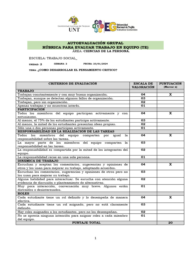 Rúbrica para Evaluar Trabajo en Equipo. | PDF | Cognición