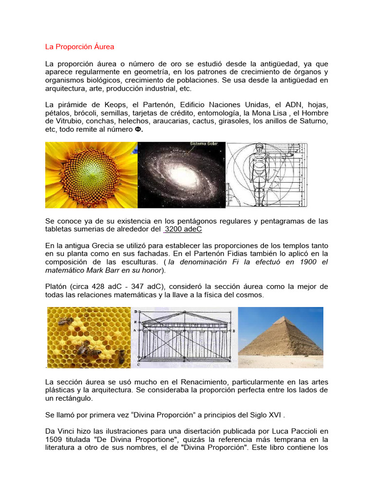 La Proporción Áurea | PDF