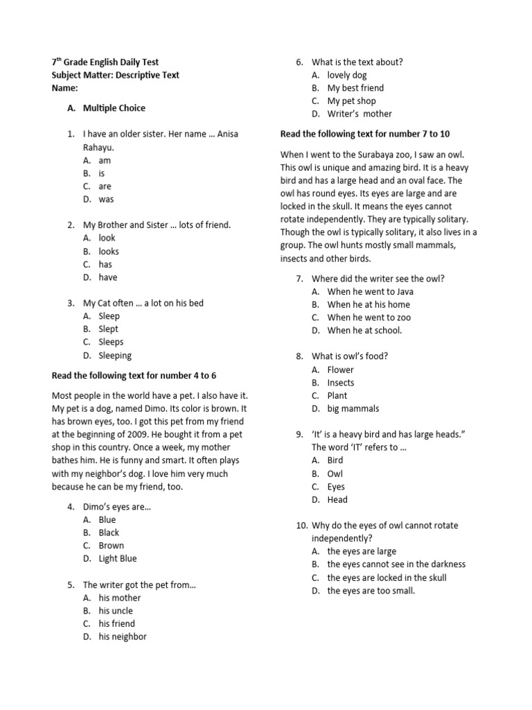 7th Grade English Daily Test | PDF | Owl | Zoology