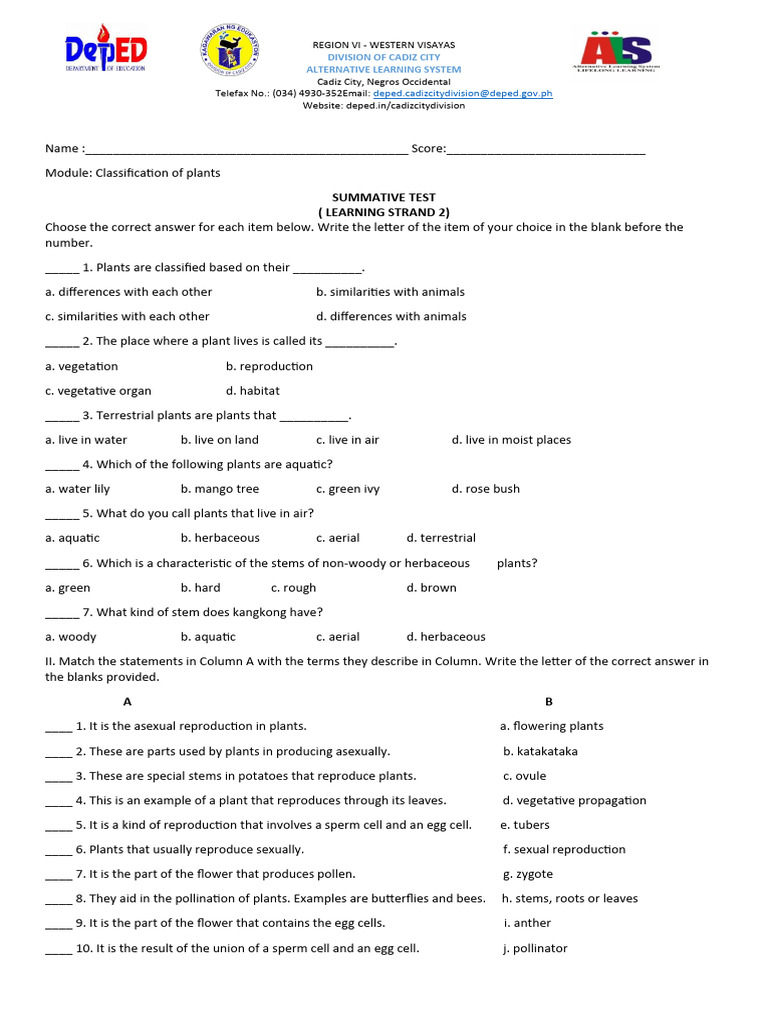 Classification of Plants Summative | PDF | Reproduction | Flowers