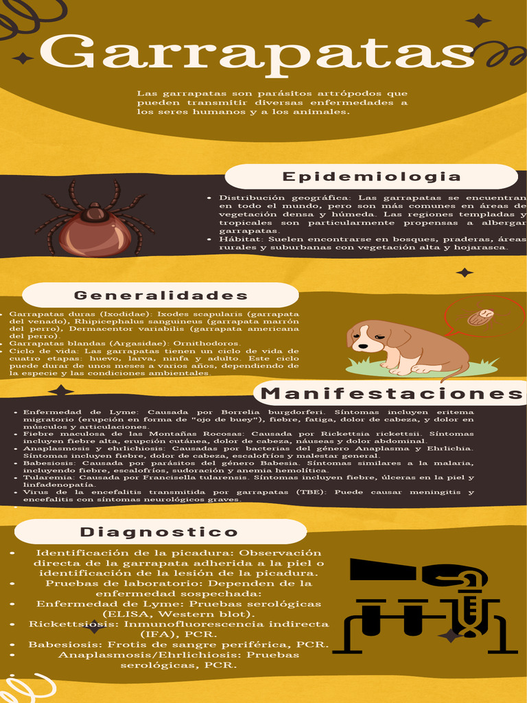 Prevención y enfermedades de garrapatas | PDF | Enfermedad de Lyme ...
