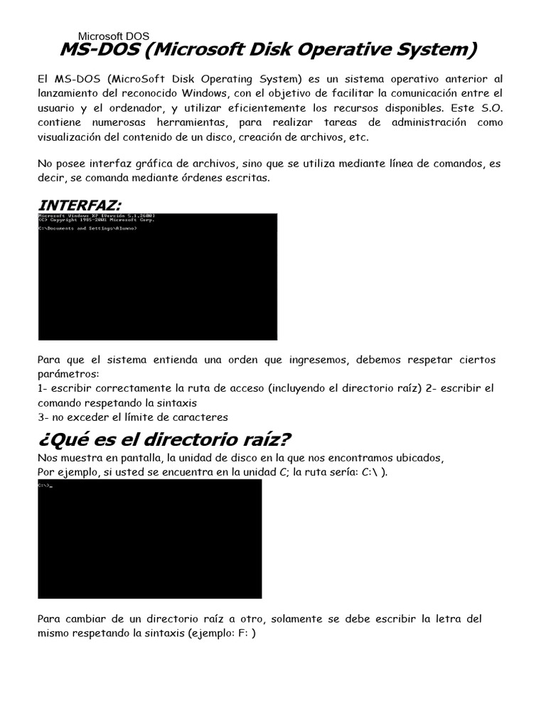 MS Dos | Descargar gratis PDF | Dos | Archivo de computadora