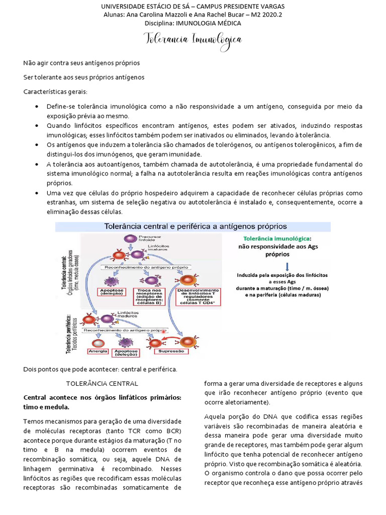 Aula 5 - Tolerância Imunológica e Autoimunidade | PDF | Antígeno leucocitário humano | Sistema ...
