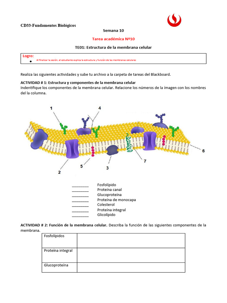 S10 - Tarea Académica | PDF