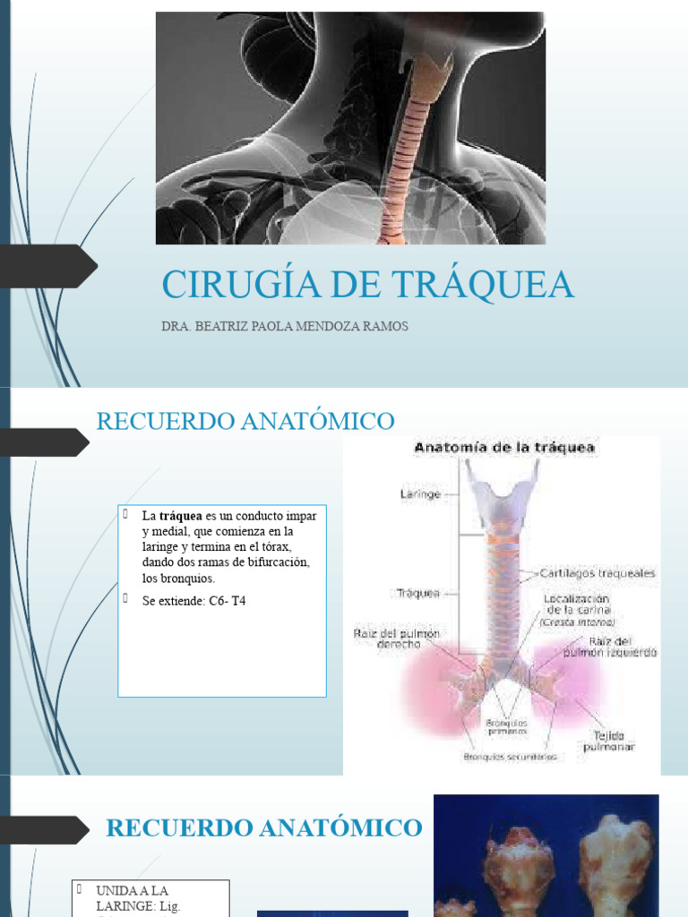 cirugia de traquea | PDF | Enfermedades y trastornos | Sistema respiratorio