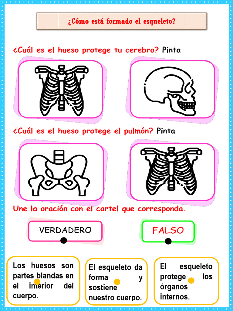 Ficha Los Huesos | PDF | Esqueleto | Hueso