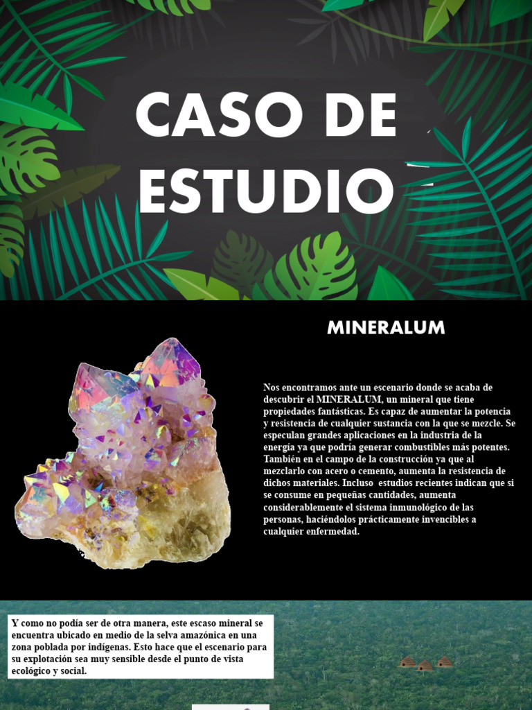 Caaso de Estudio STAKEHOLDERS | PDF | Economias
