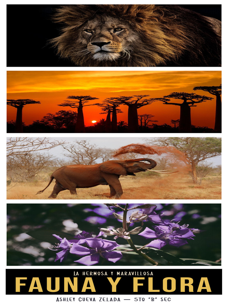 La Flora y La Fauna de África. | PDF