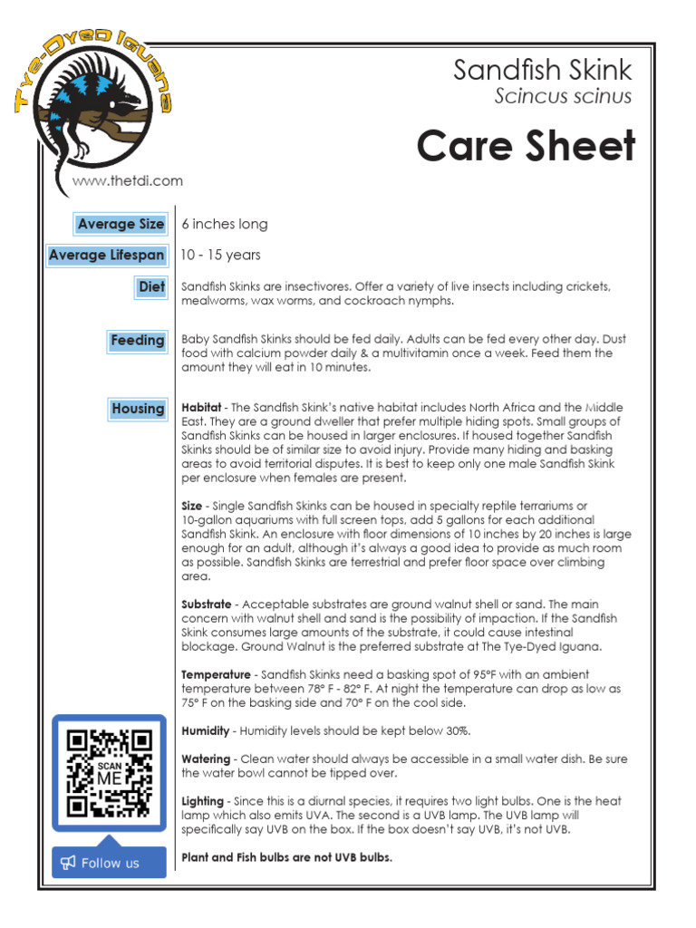 Sandfish Skink Scincus Scinus | PDF | Vivarium