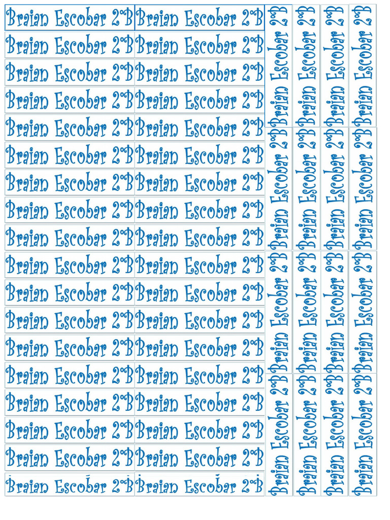 Bra | PDF