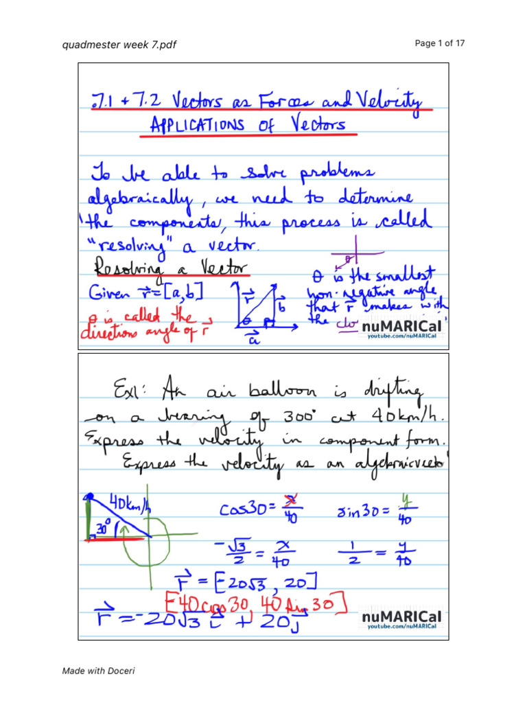 Unit 7 Notes | PDF