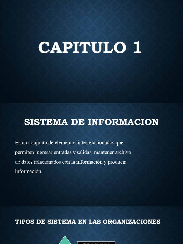 Tipos y Funciones de Sistemas de Información | PDF | Bases de datos ...