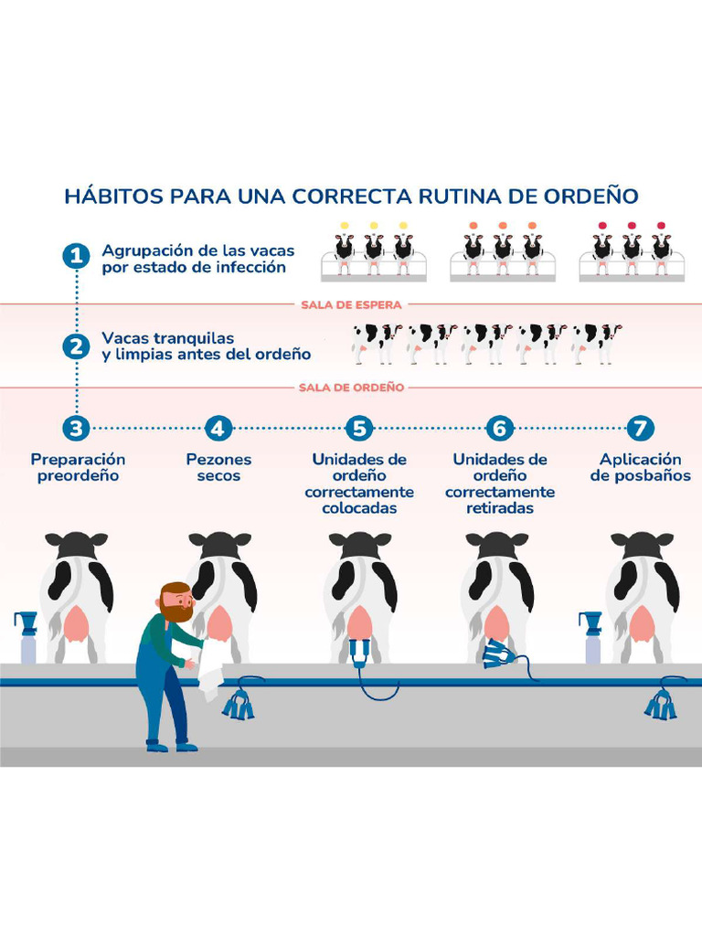 SM22 Figuras 10 | PDF