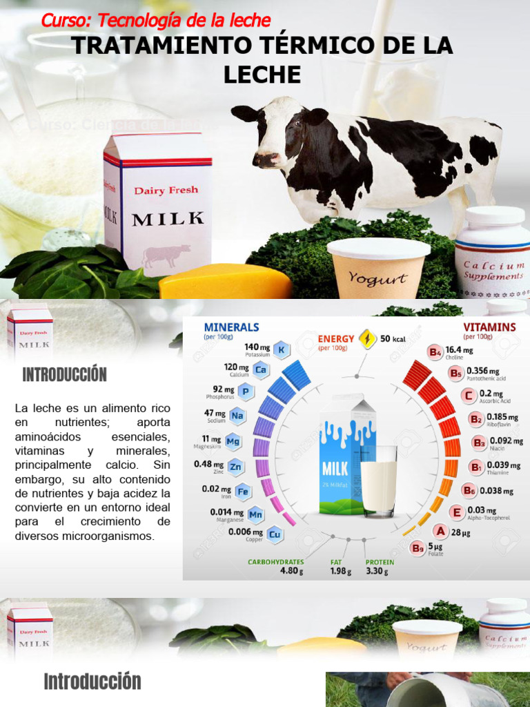 1 Tratamiento Termico de La Leche | PDF | Leche | Alimentos