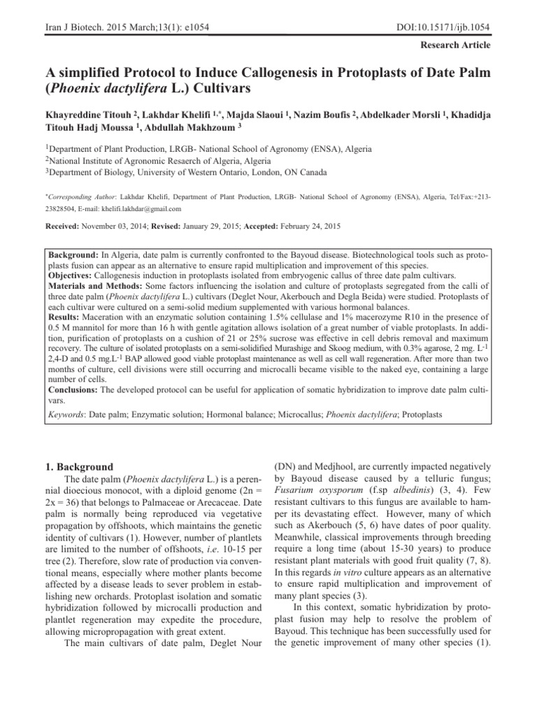 A Simplified Protocol To Induce Callogen | PDF | Auxin | Plants