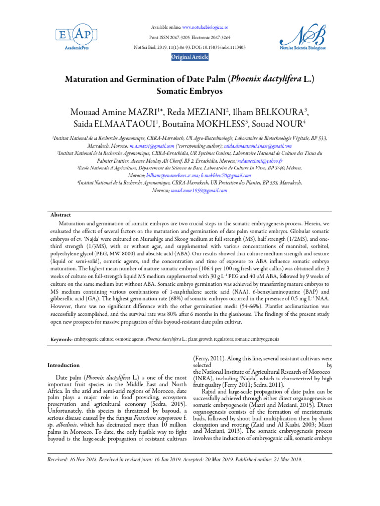 Maturation and Germination of Date Palm | PDF | Plant Hormone ...