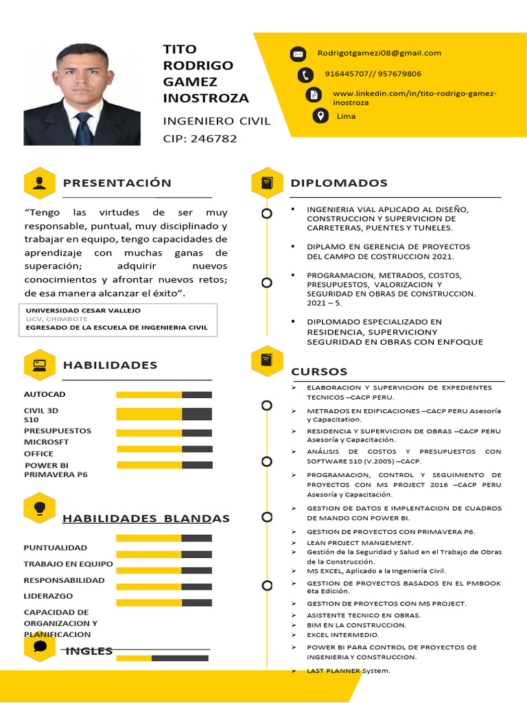 Perfil de Ingeniero Civil | PDF | Plan de estudios | Reclutamiento