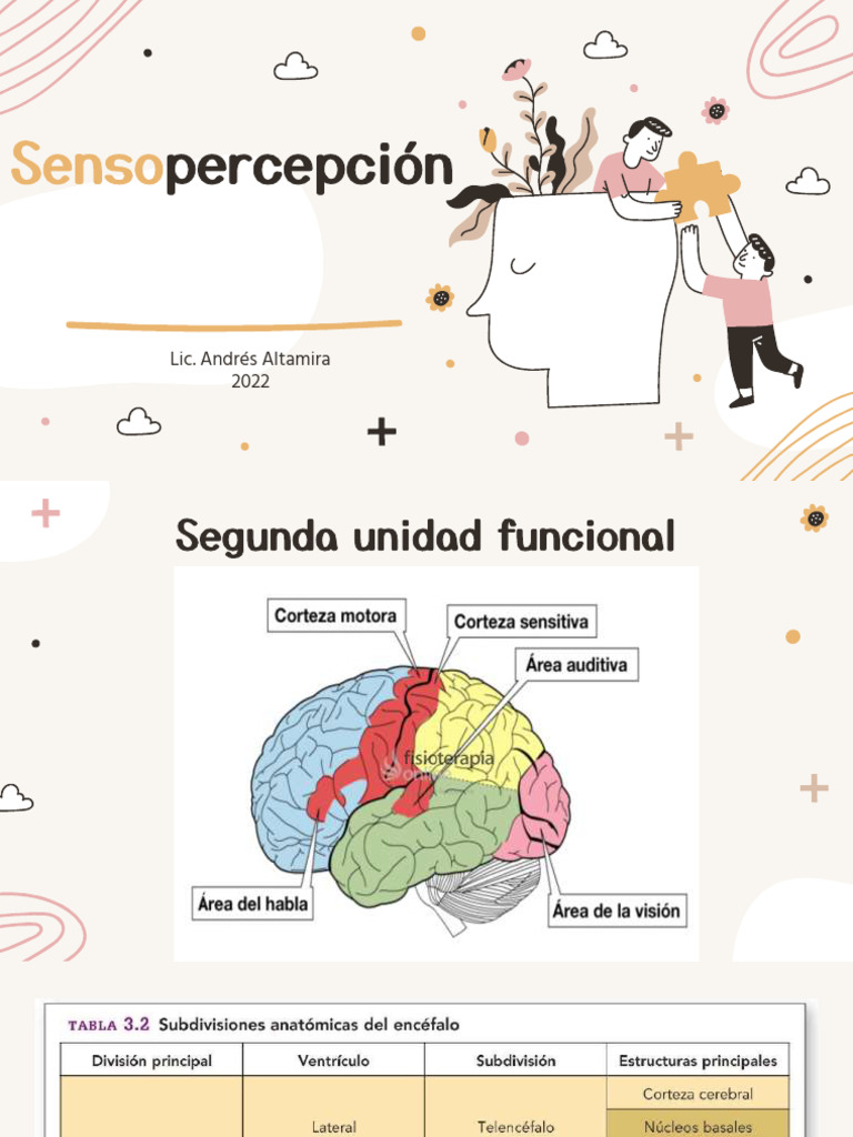 Sensopercepcion | PDF | Gusto | Oído