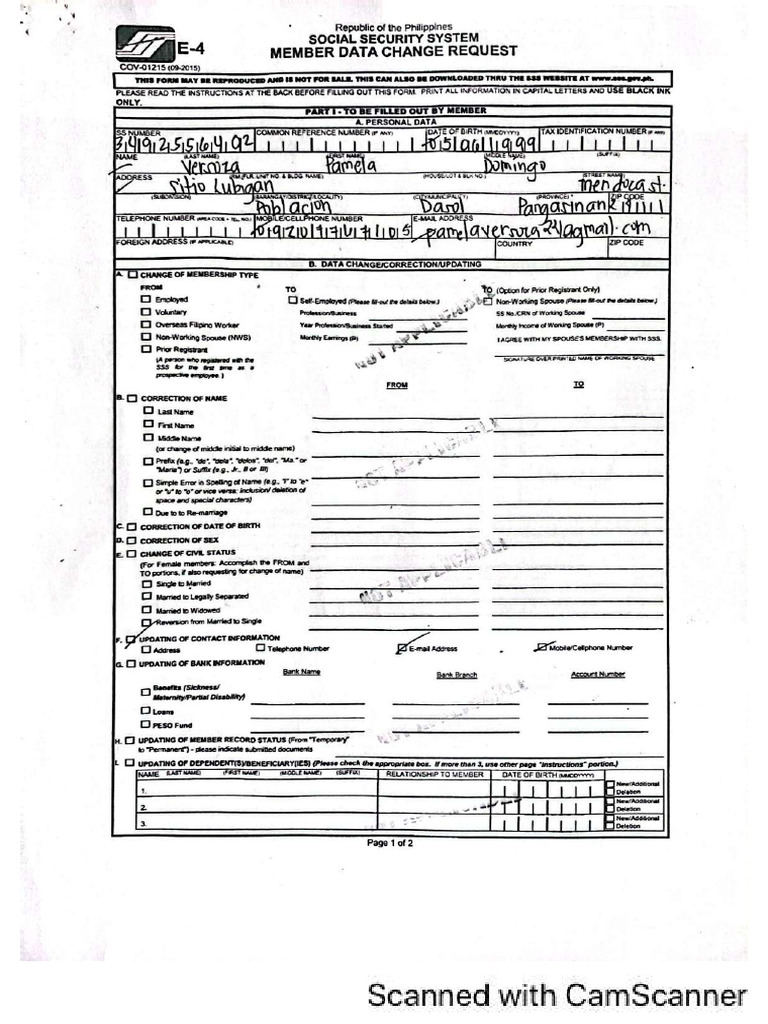 Reqs Smmegamall Pamela Versoza Cross | PDF