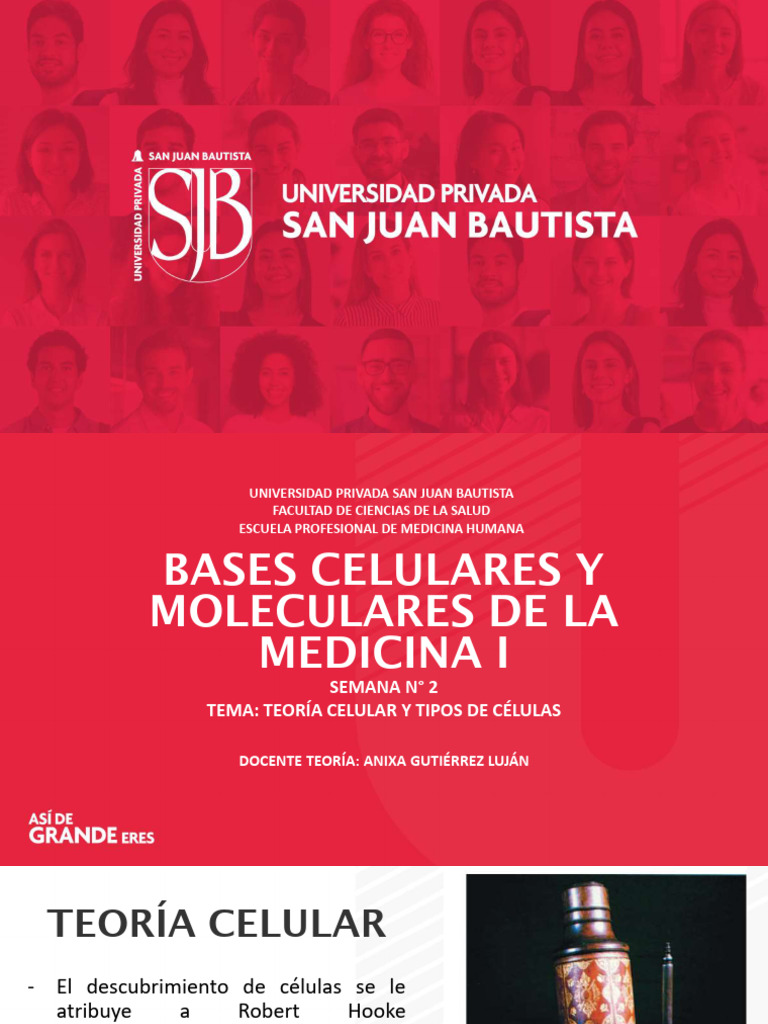 Teoría Celular y Tipos de Células | PDF