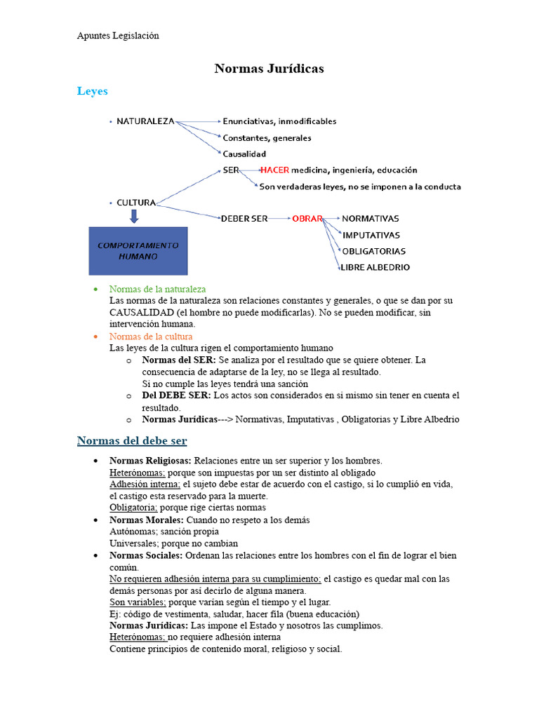 Normas Jurídicas Resumen Adri | PDF | Derechos | Moralidad