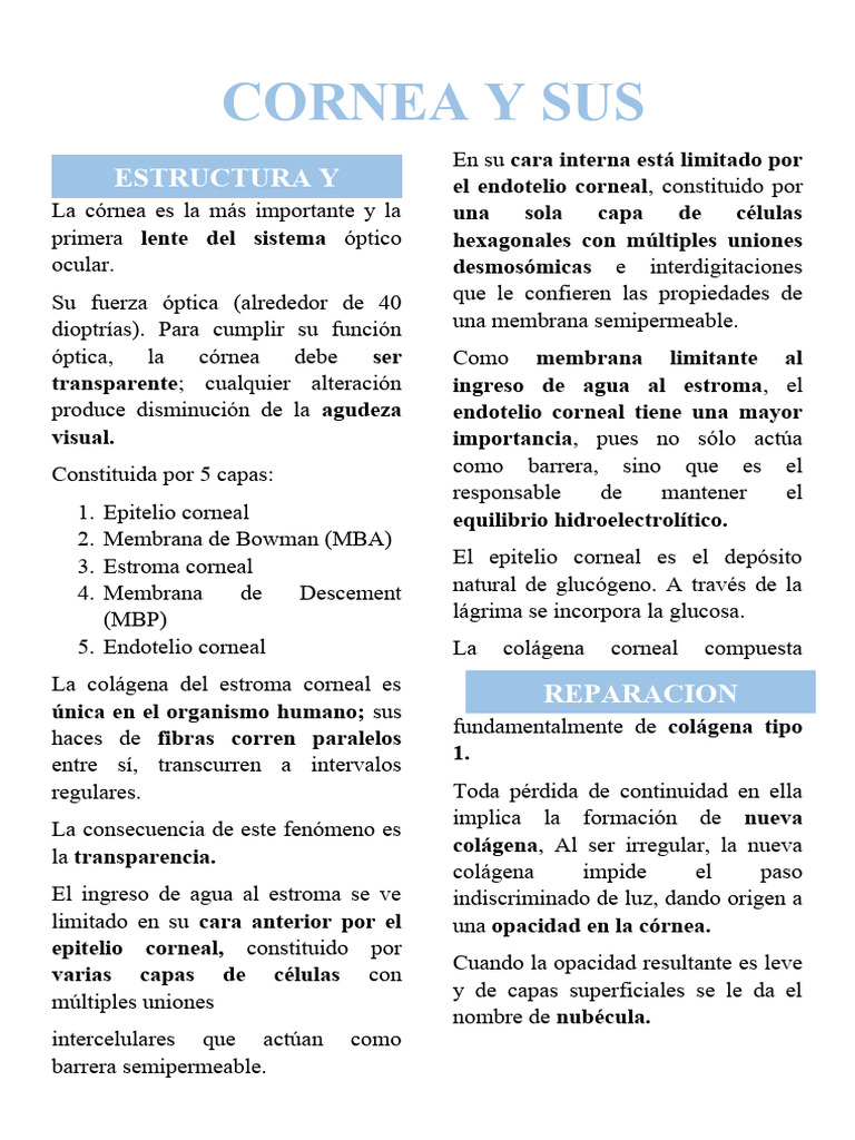 Estructura y Alteraciones de la Córnea | PDF | Córnea | Enfermedades y ...