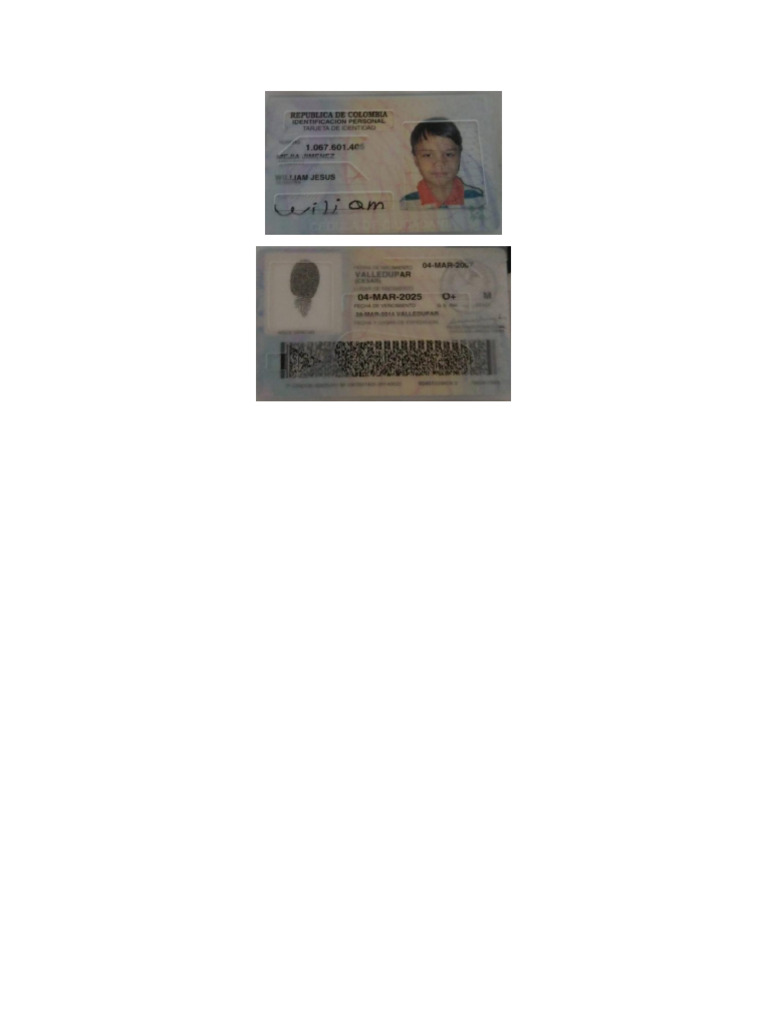 Willima 1 Pdf