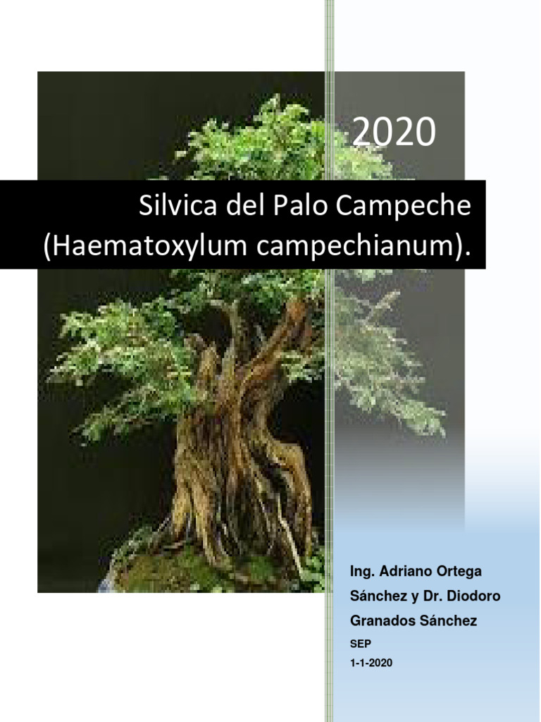 0000 Silvica de Palo Campeche | Descargar gratis PDF | Hoja | Semilla