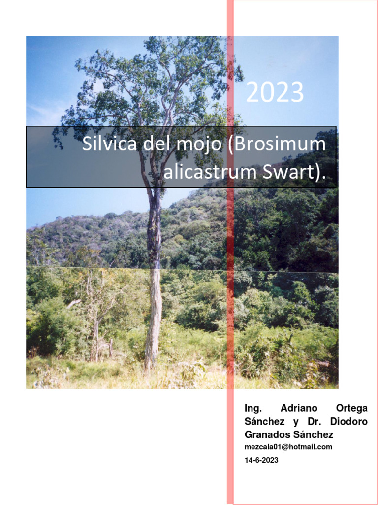 0000 Silvica de Mojo 2024 125 | PDF | Arboles | Selva