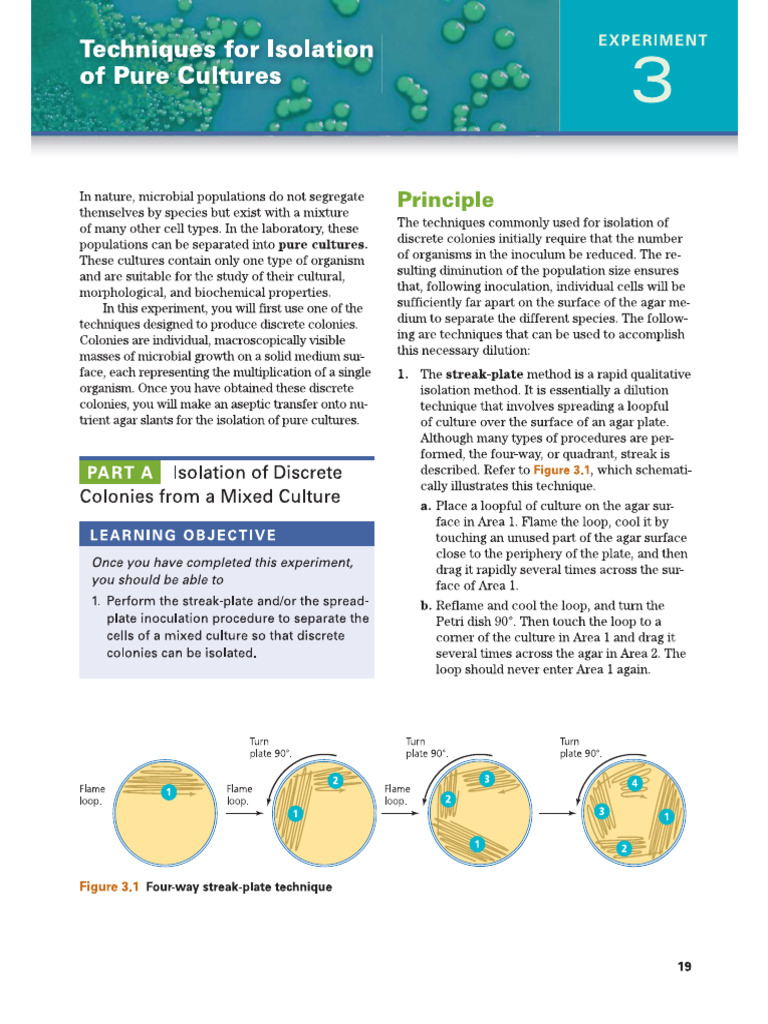 Spread - Streak Techniques 1 | PDF