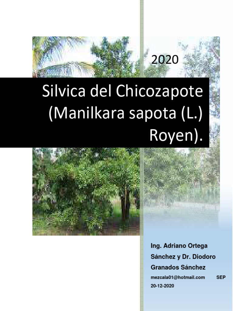 0000 Silvica de Chicozapote | PDF | Flores | Plantas