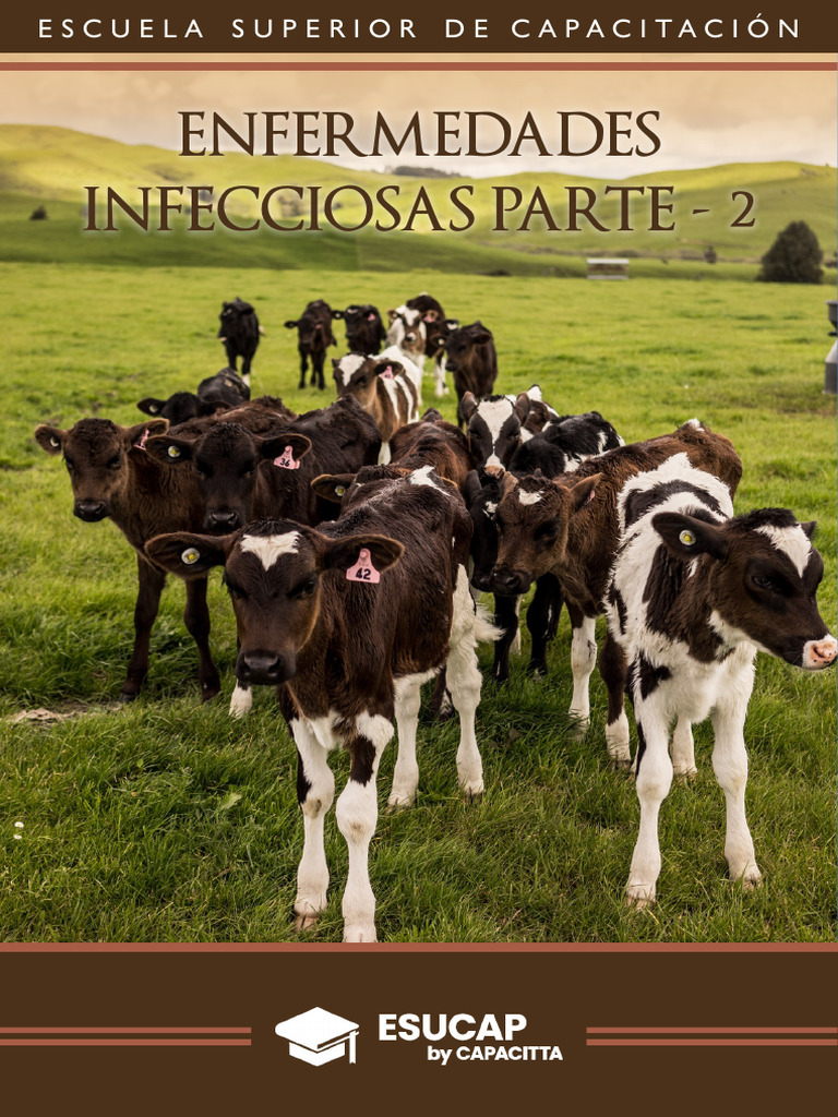 Modulo 02 | PDF | Tuberculosis | Infección