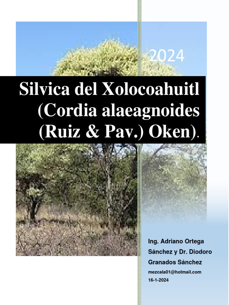 0000 Silvica de Xolocoahuilt Tesis 2024 | PDF | Arboles | Biología