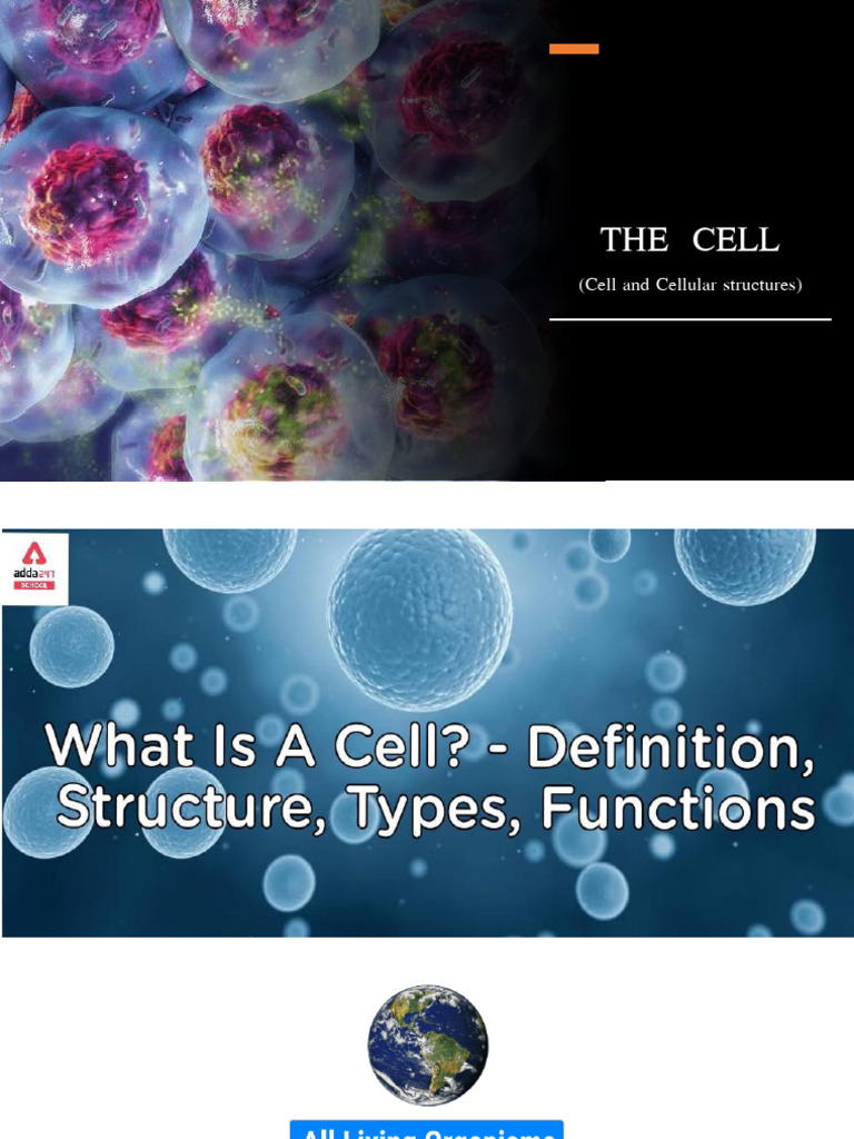 The Cell 2 | PDF