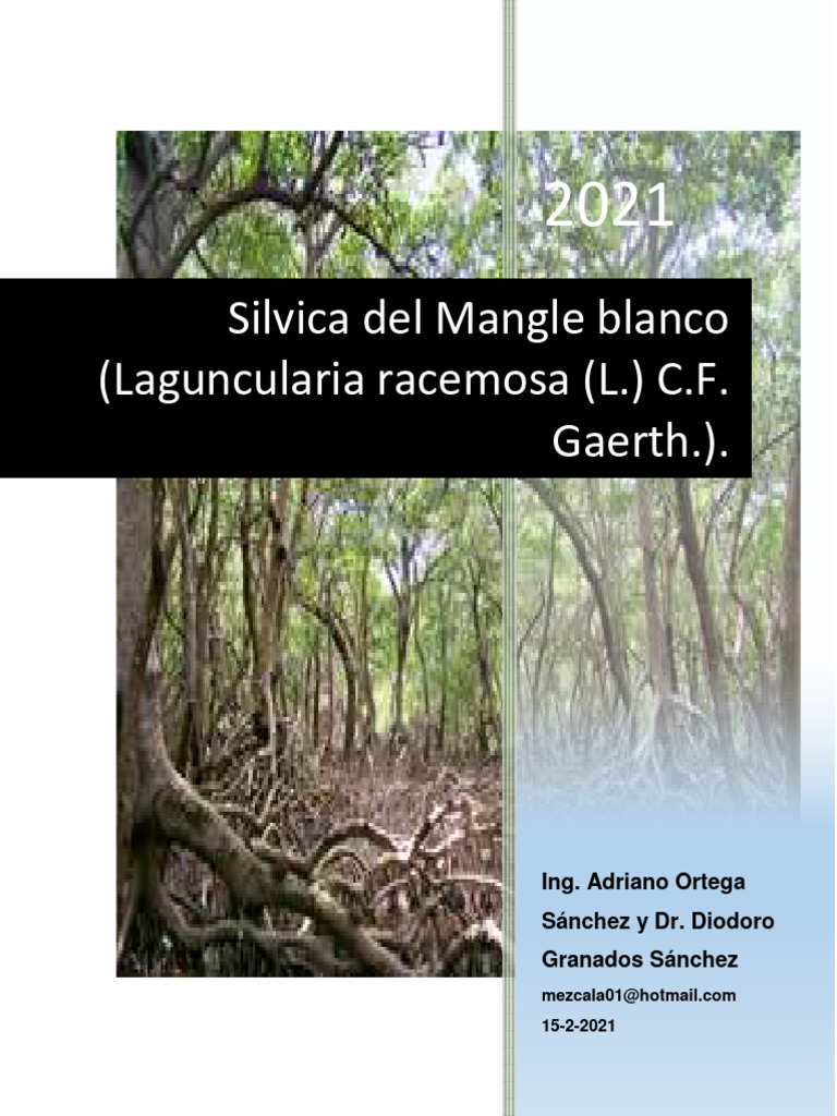 0000 Silvica de Mangle Blanco | PDF | Hoja | Flores