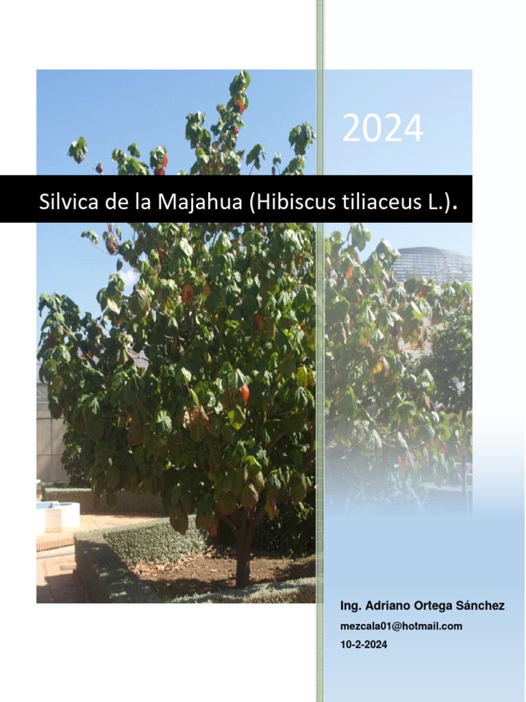 0000 Silvica de Majahua | PDF | Arboles | Hoja