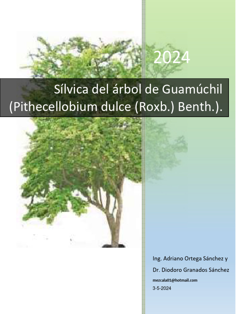 021 Silvica de Huamúchil | PDF | Morfología Vegetal | Ramas de la botánica