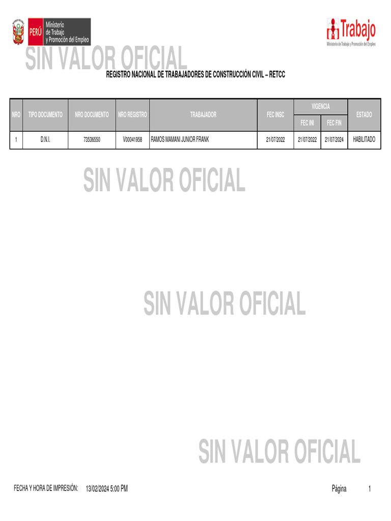 Reporte Trabajadores Retcc | PDF