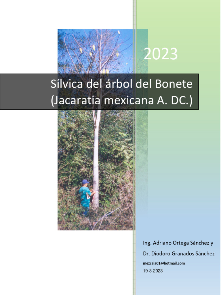 021 Silvica de Bonete | PDF | Flores | Germinación