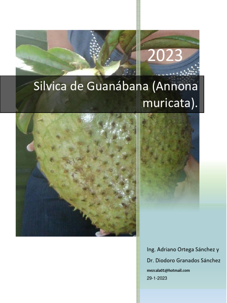 021 Silvica de Guanábana | PDF | Flores | Morfología Vegetal