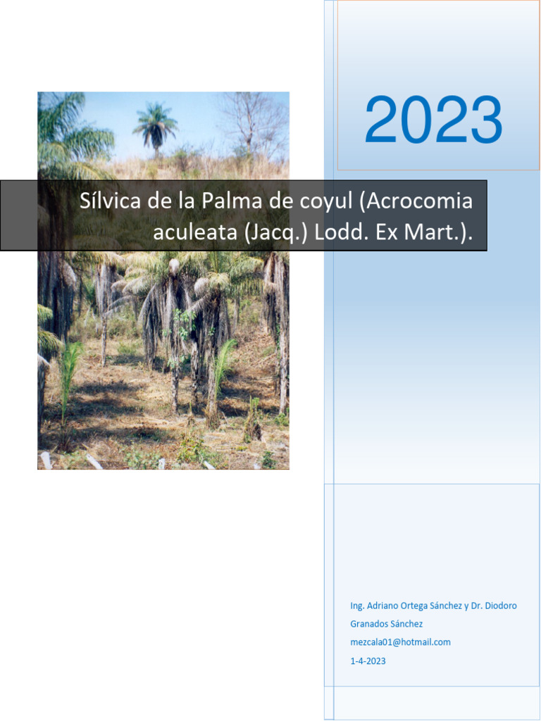 023 Silvica de Palma de Coyul | PDF | Arecaceae | Semilla