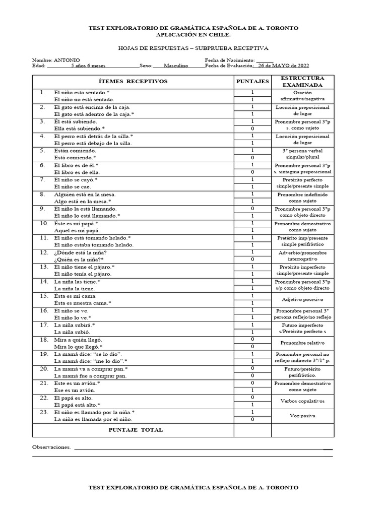 STSG | PDF | Asunto (gramática) | Pronombre