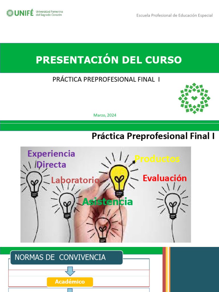 Práctica Preprofesional Educación Especial | PDF | Laboratorios | Aprendizaje
