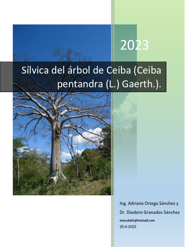 040 Silvica Sílvica de Ceiba | PDF | Semilla | Flores