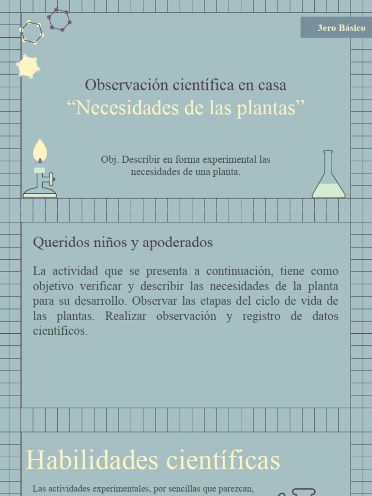 Actividad Experimental Necesidades de Las Plantas | PDF