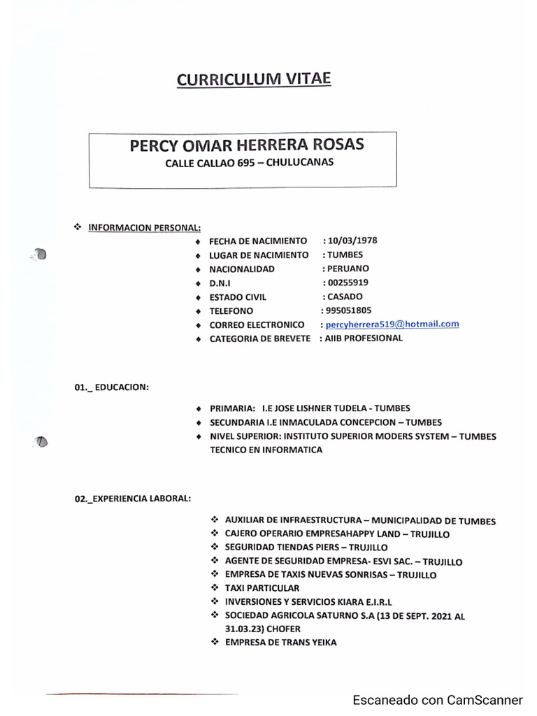 CV Percy Herrera Rosas | PDF