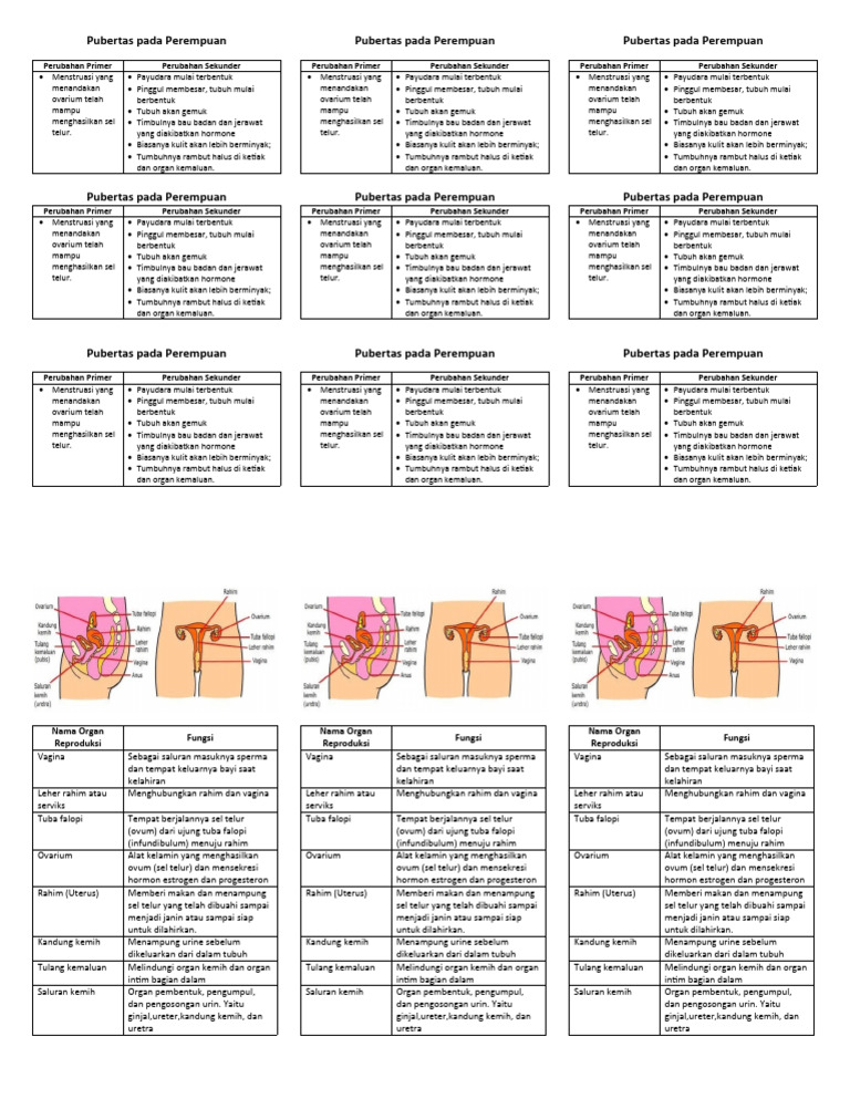 Perubahan Pubertas pada Perempuan | PDF