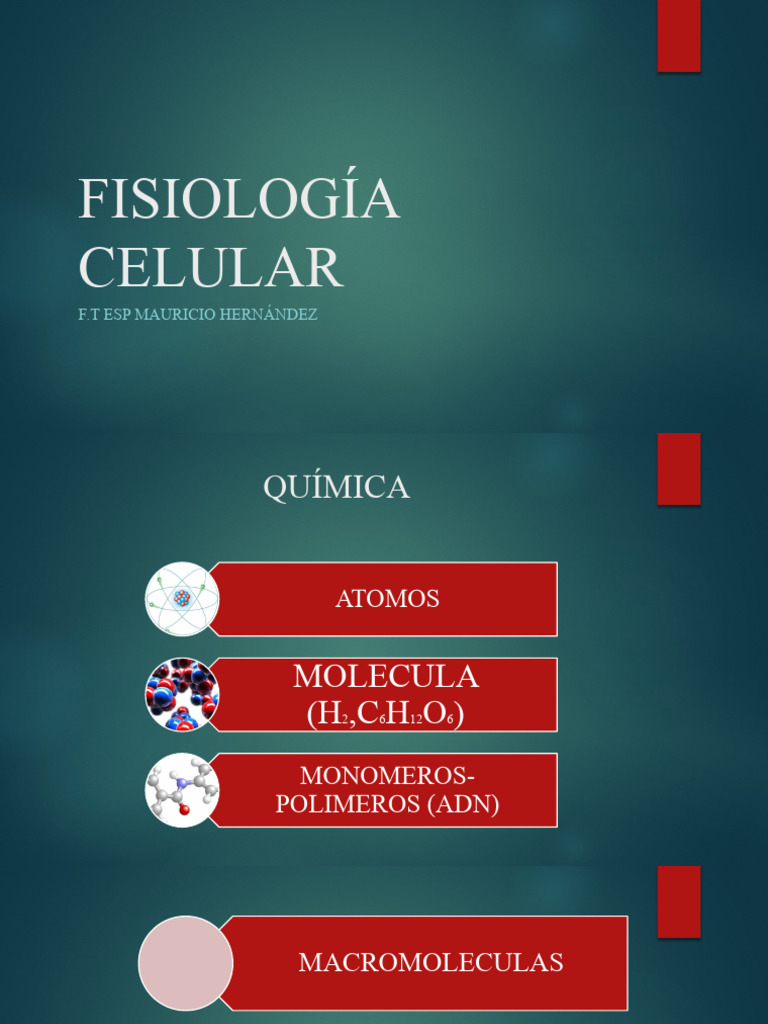 Transporte y Metabolismo Celular | PDF | Biología Celular) | Metabolismo