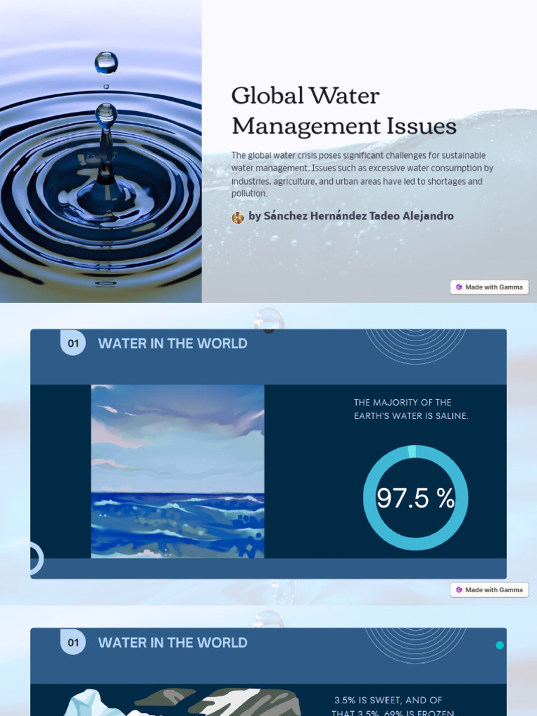 Global Water Management Issues | PDF | Water Resources | Water