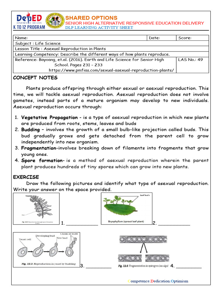 LAS 49 Asexual Reproduction in Plants | PDF